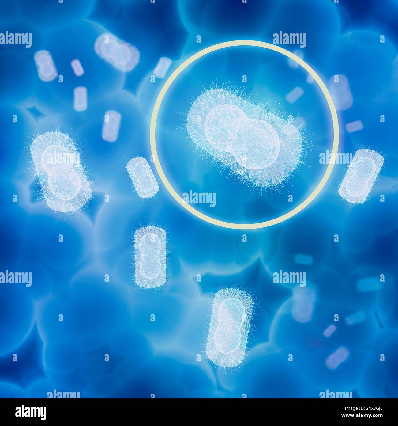 Microscope view of monkeypox, it is a disease caused by infection with ...