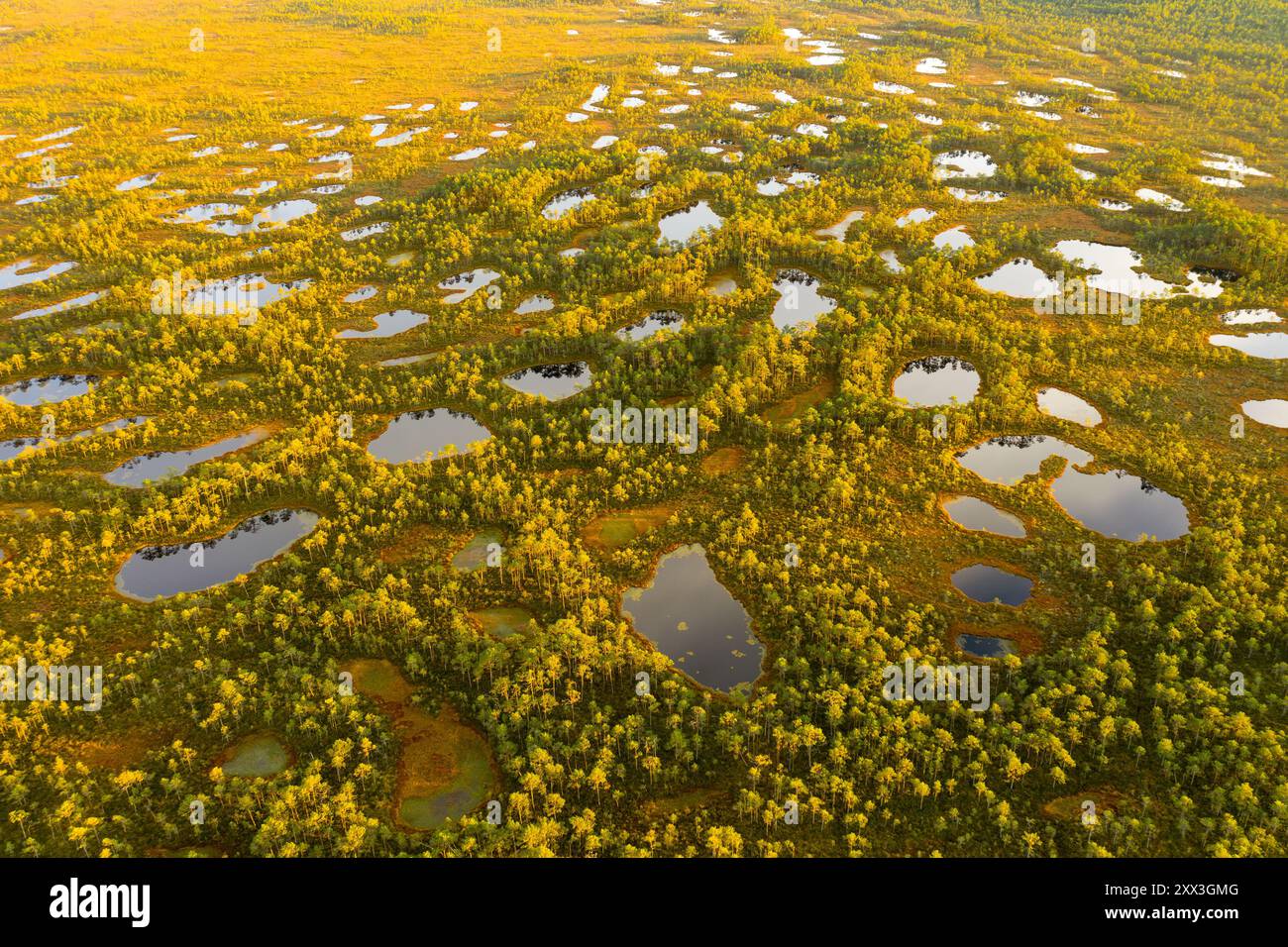 Labyrinth nature reserve hi-res stock photography and images - Alamy