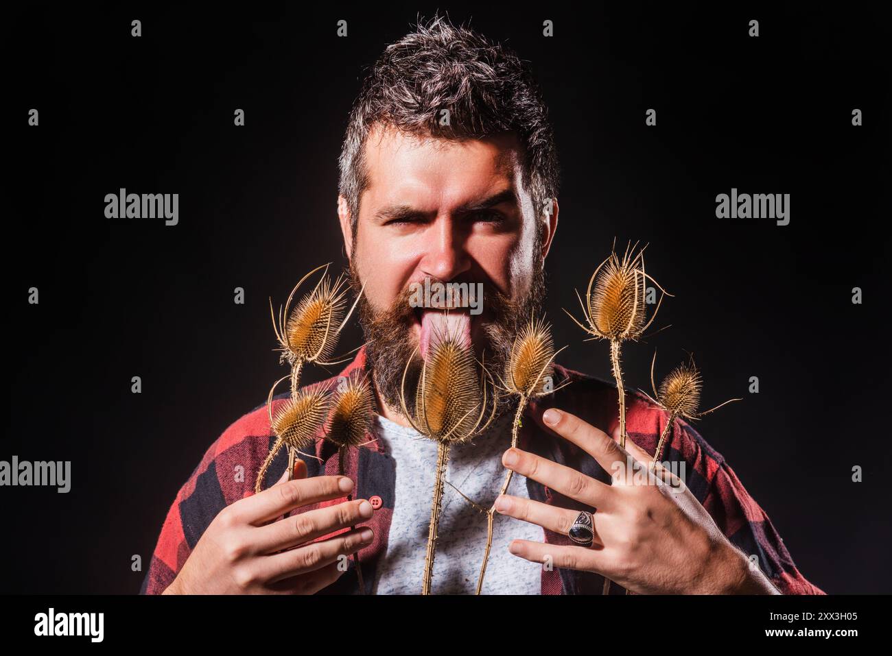 Beard bristled. Male prickly stubble concept. The prickly bristle ...