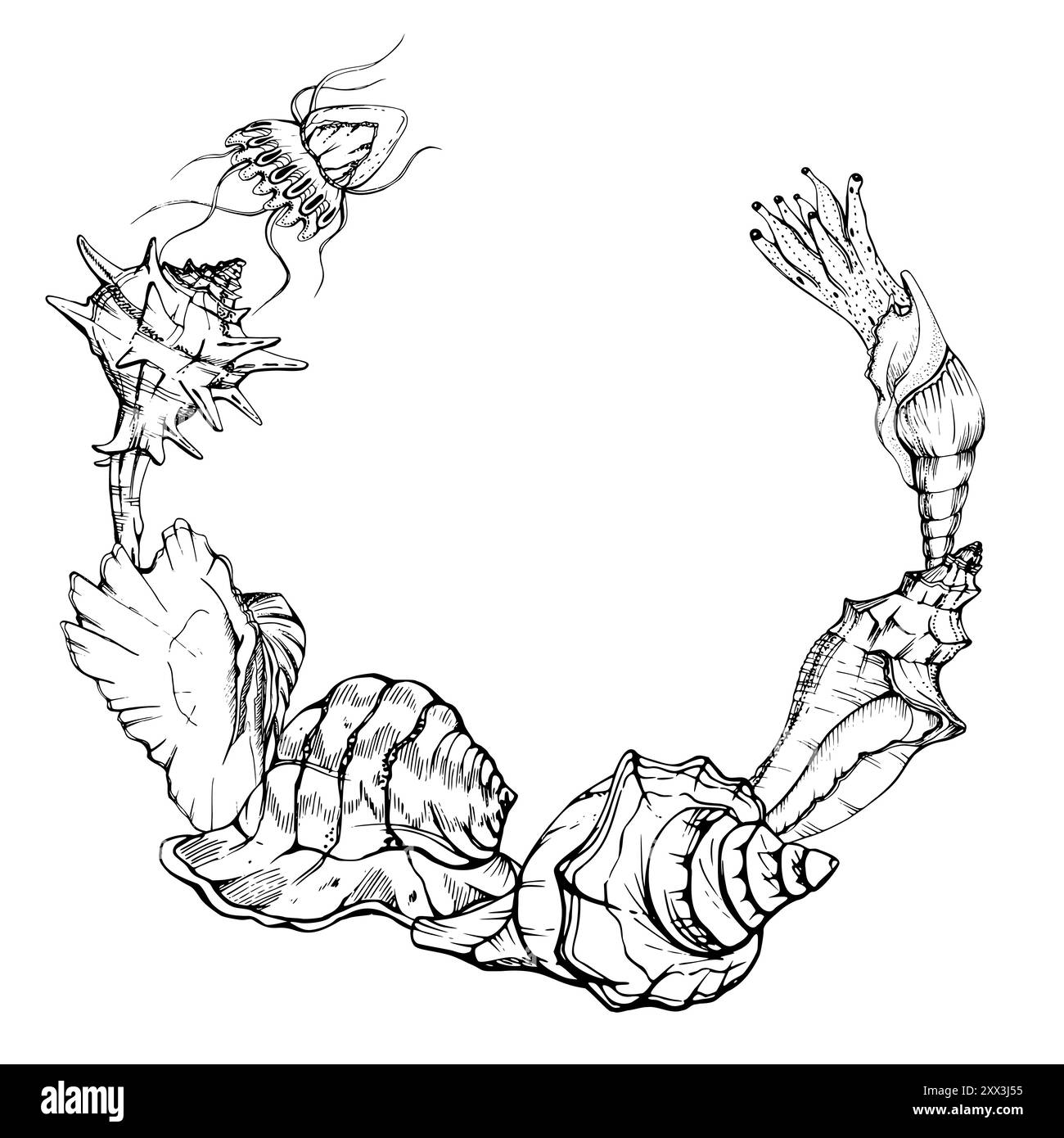 Marine life, sea ocean underwater creatures fish, shells algae seaweed ...