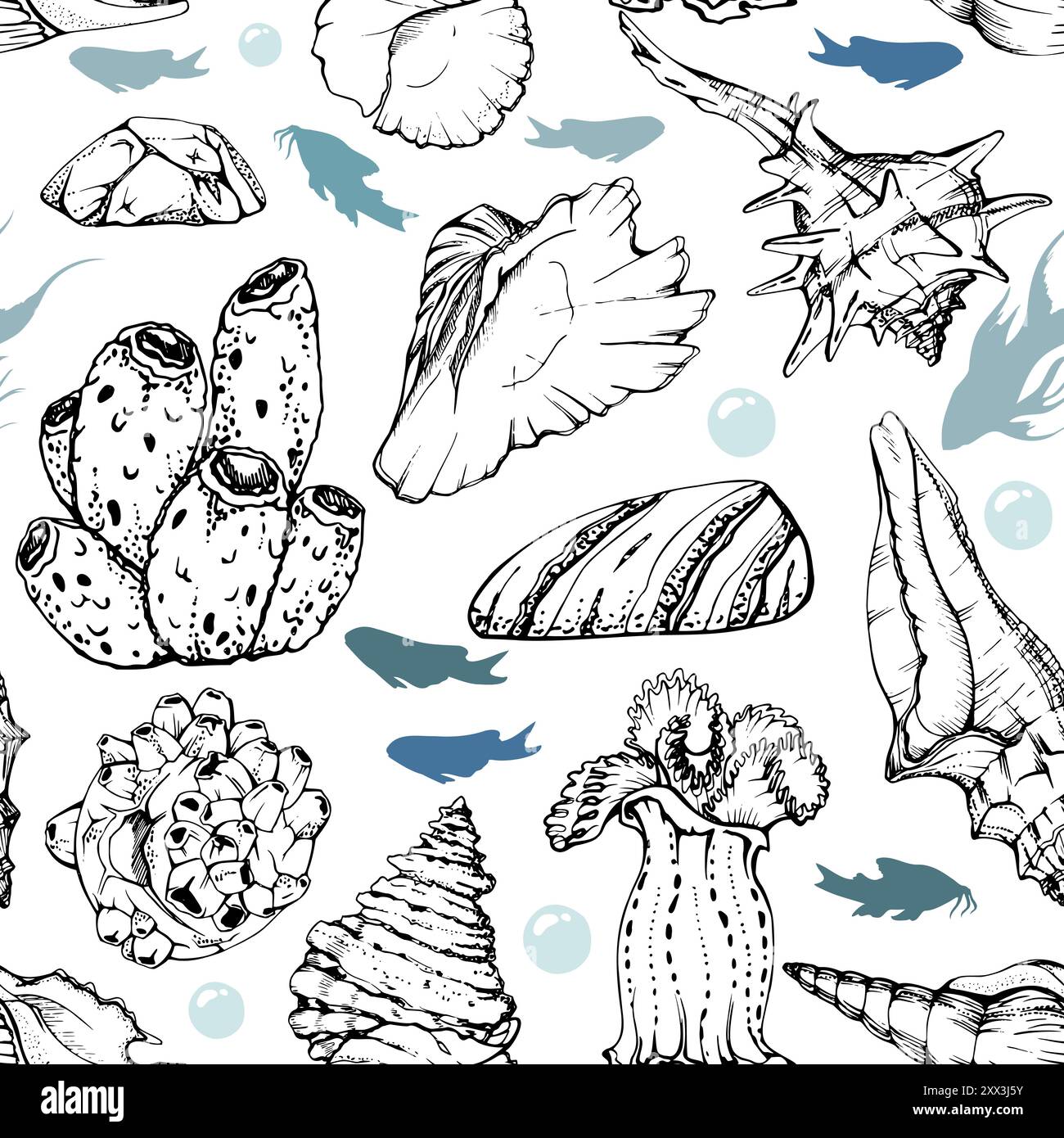 Pen shells Stock Vector Images - Alamy