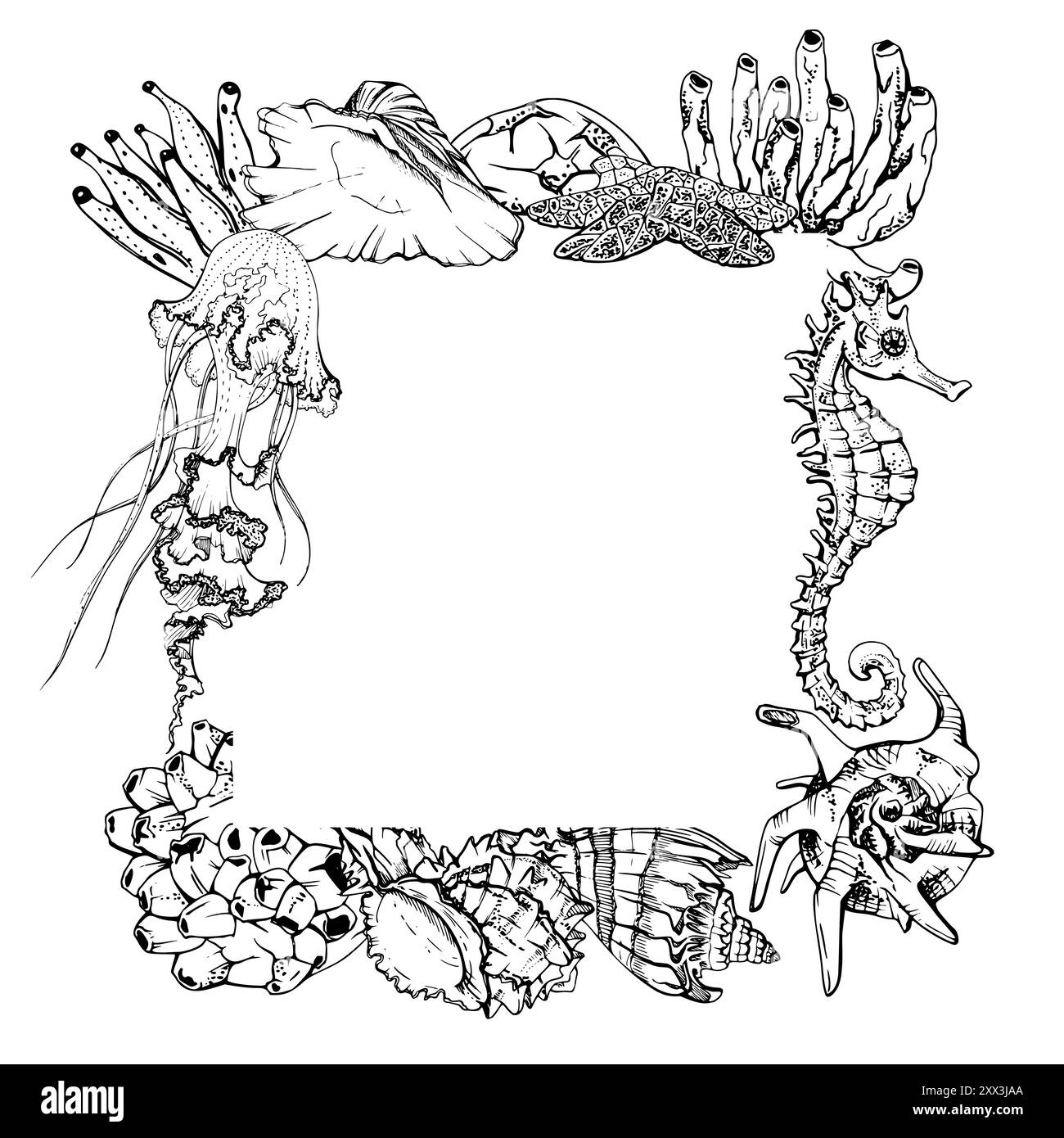 Marine life, sea ocean underwater creatures fish, shells algae seaweed ...