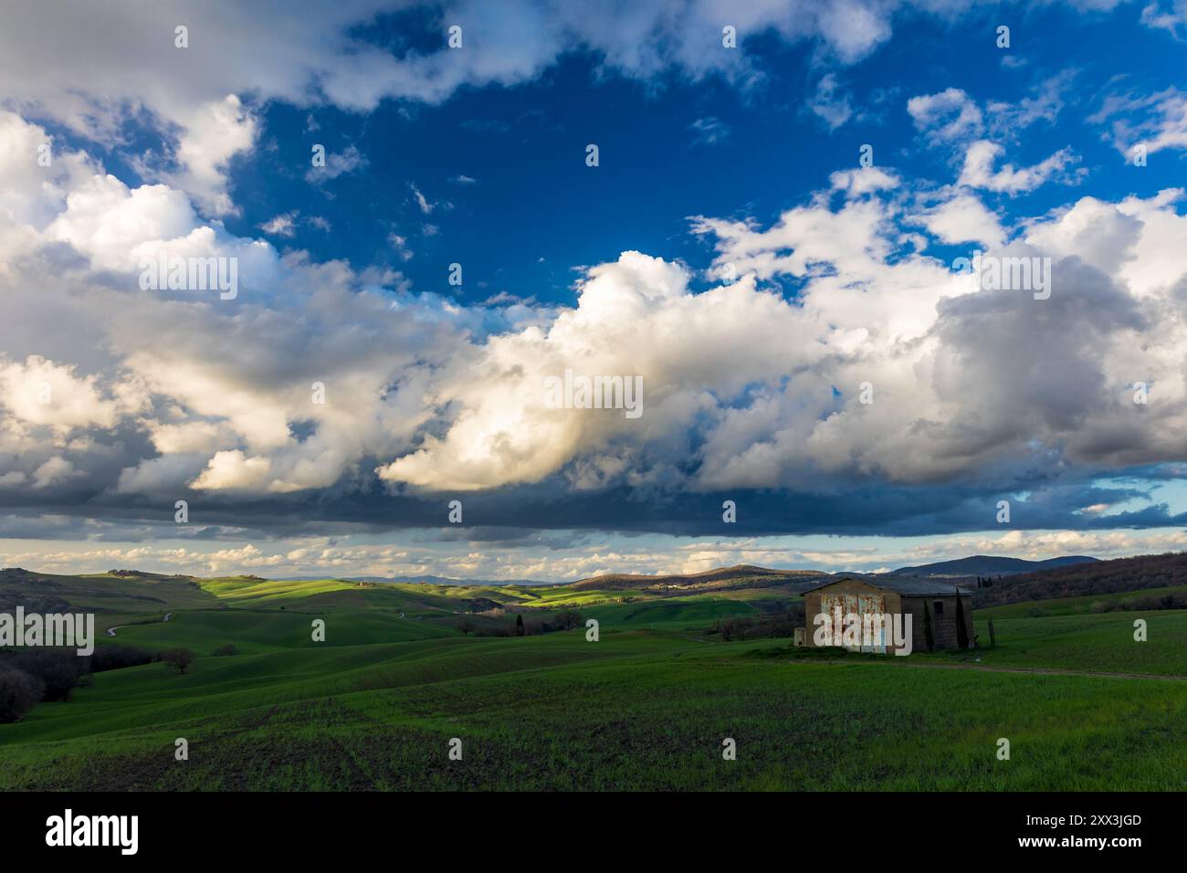The fields of Tuscany in a beautiful spring day Stock Photo - Alamy
