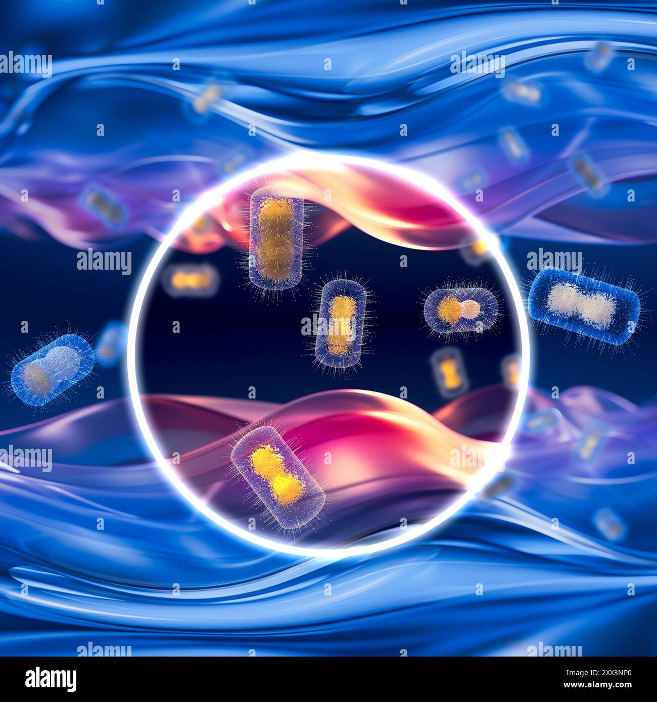Microscope view of monkeypox, it is a disease caused by infection with ...