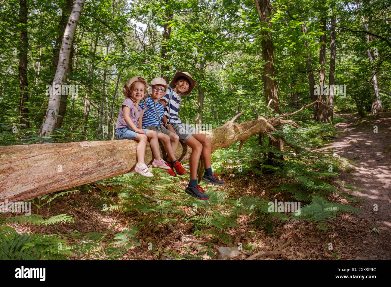Kids having an adventure, sitting on large fallen tree, smiling Stock ...