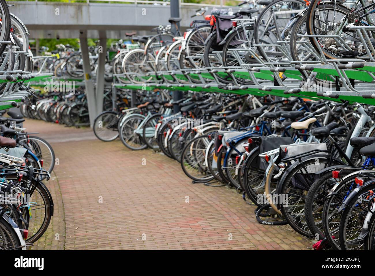 View into the aisle of a double parking space for bicycles View into ...