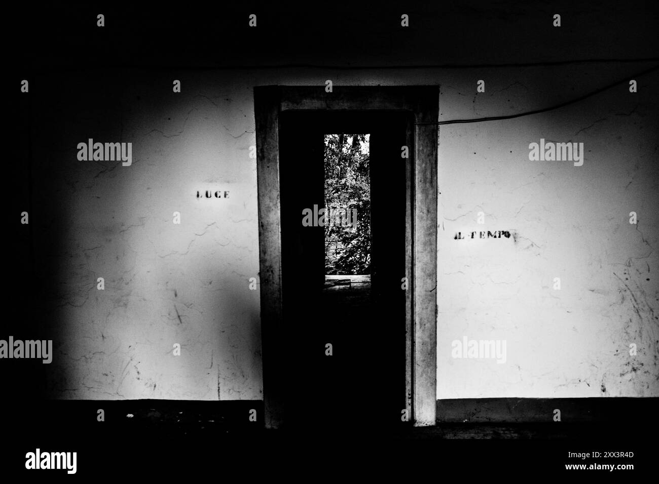 Front door of an abandoned and spooky house Stock Photo - Alamy