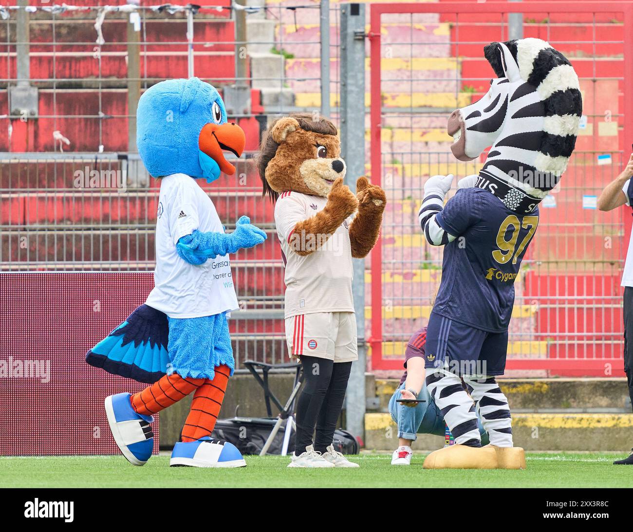 Jay the Zebra mascot of Juventus, Mia FCB women Maskottchen ...