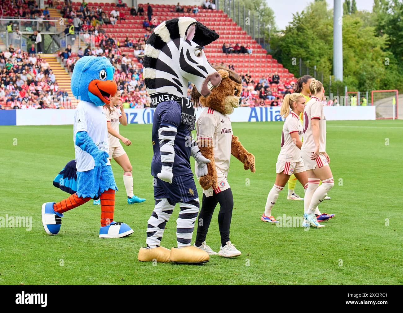 Jay the Zebra mascot of Juventus, Mia FCB women Maskottchen ...