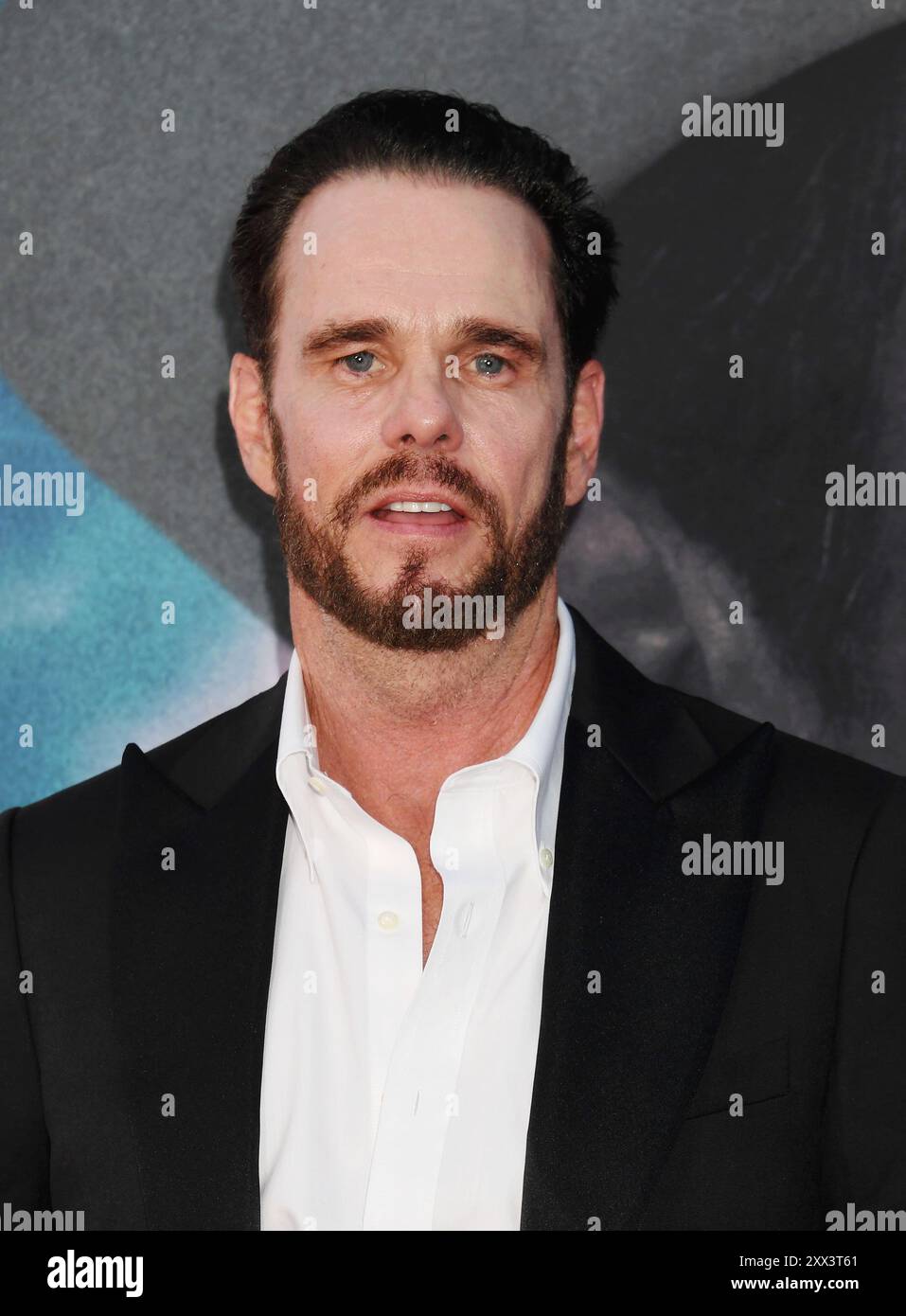 HOLLYWOOD, CALIFORNIA - AUGUST 20: Kevin Dillon attends the Los Angeles ...