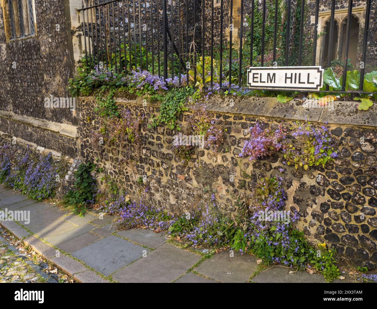 Peter hungate hi-res stock photography and images - Alamy