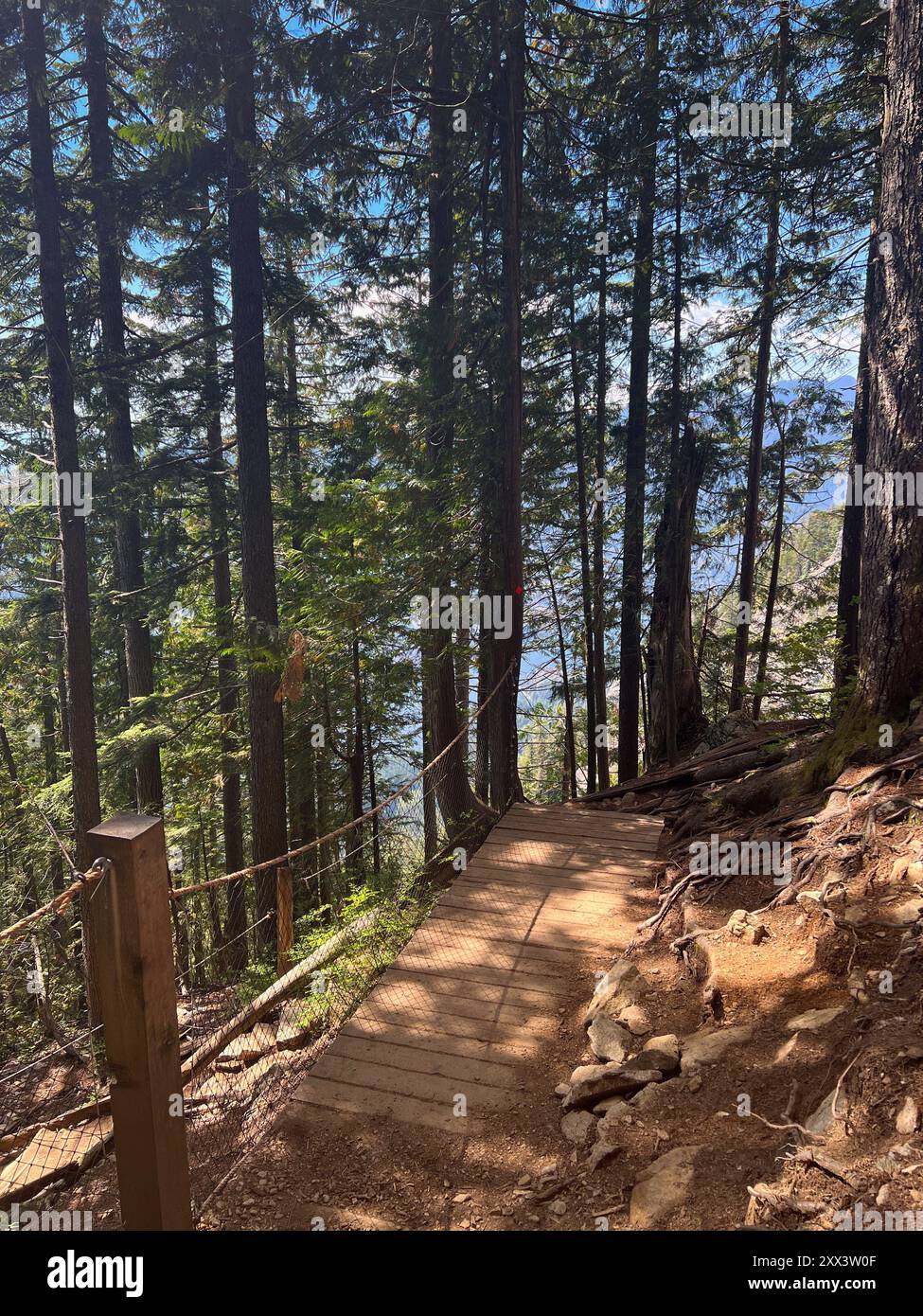 A section of the Grouse Grind Trail, showing a shaded path winding ...