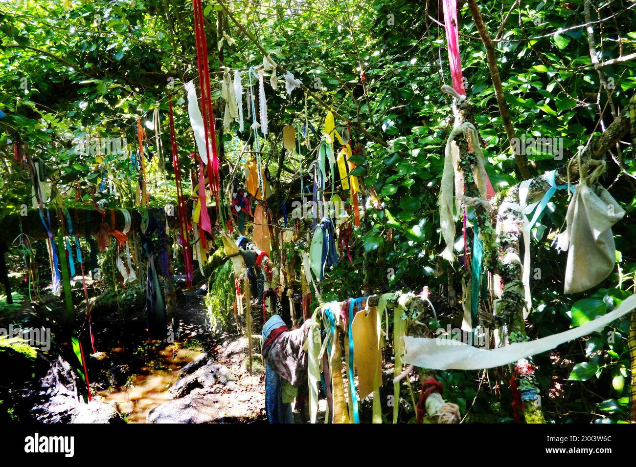 Clootie well hi-res stock photography and images - Alamy