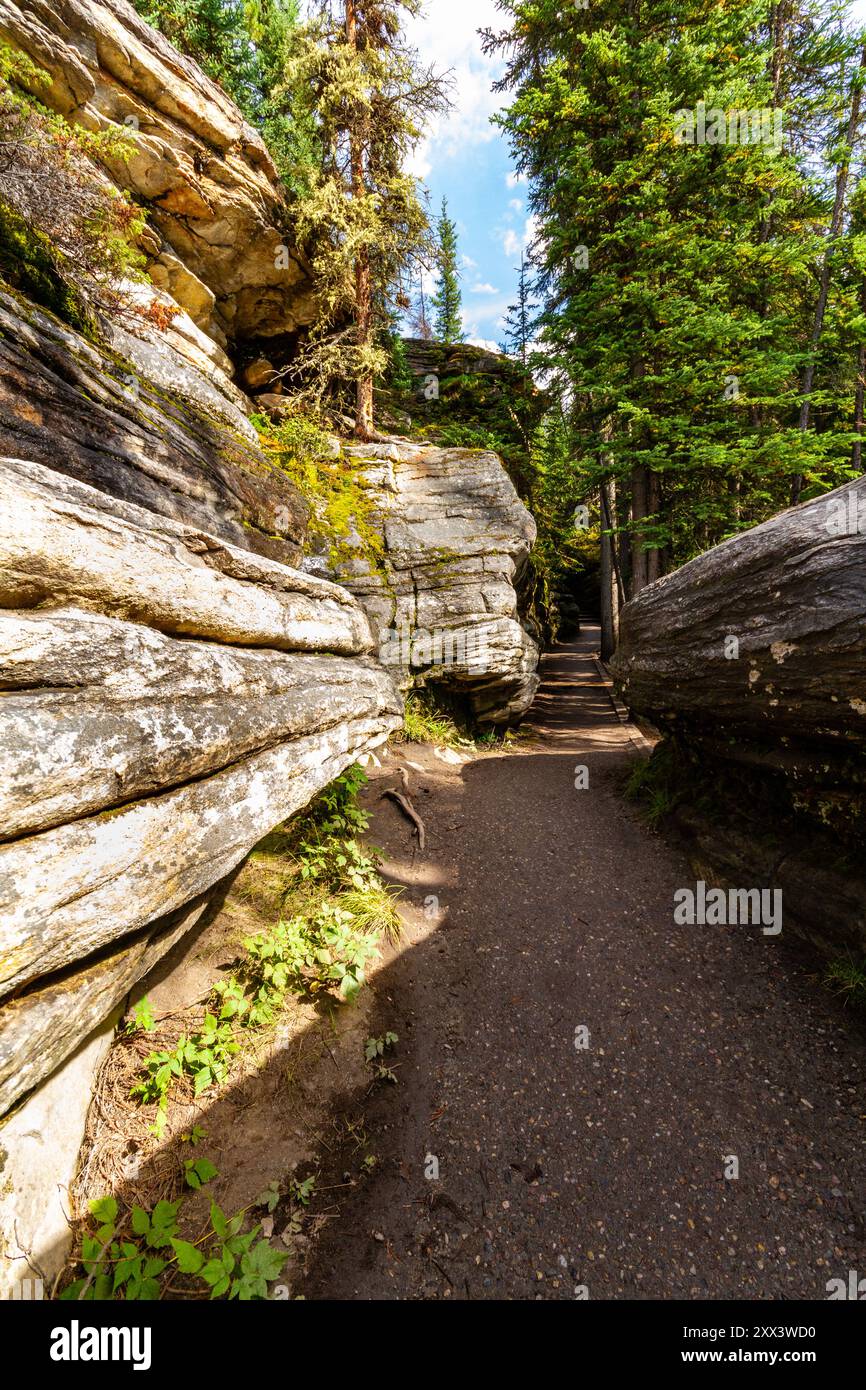 Hiking trail at Athabasca Falls. Path between Pancake Sandstones ...