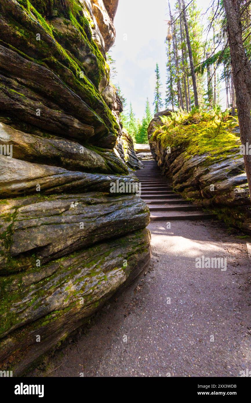 Hiking trail at Athabasca Falls. Path between Pancake Sandstones ...