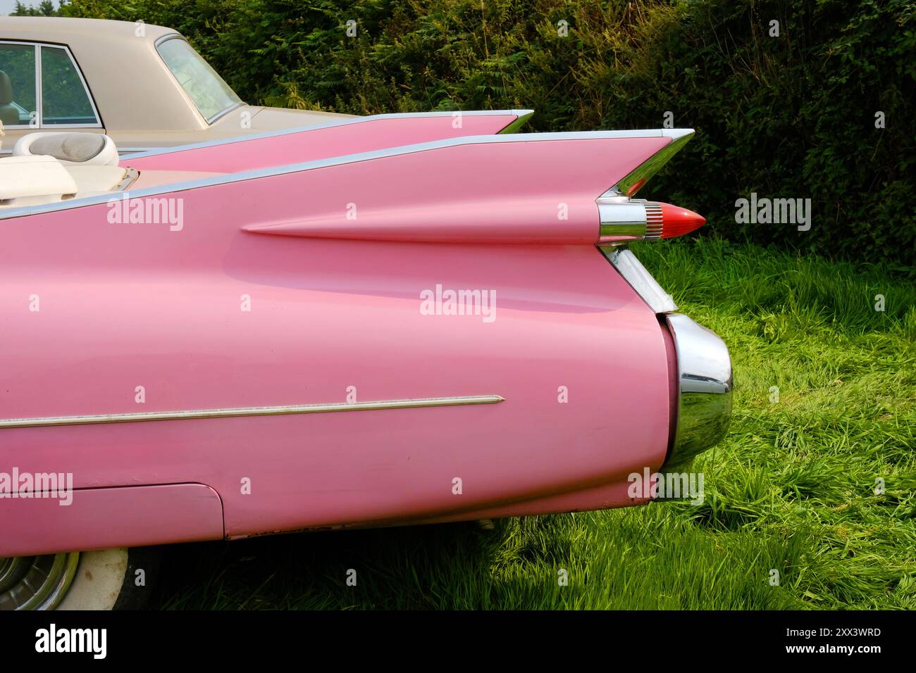 The rear wing of a pink Cadillac Parade, the Pink lady - John Gollop ...