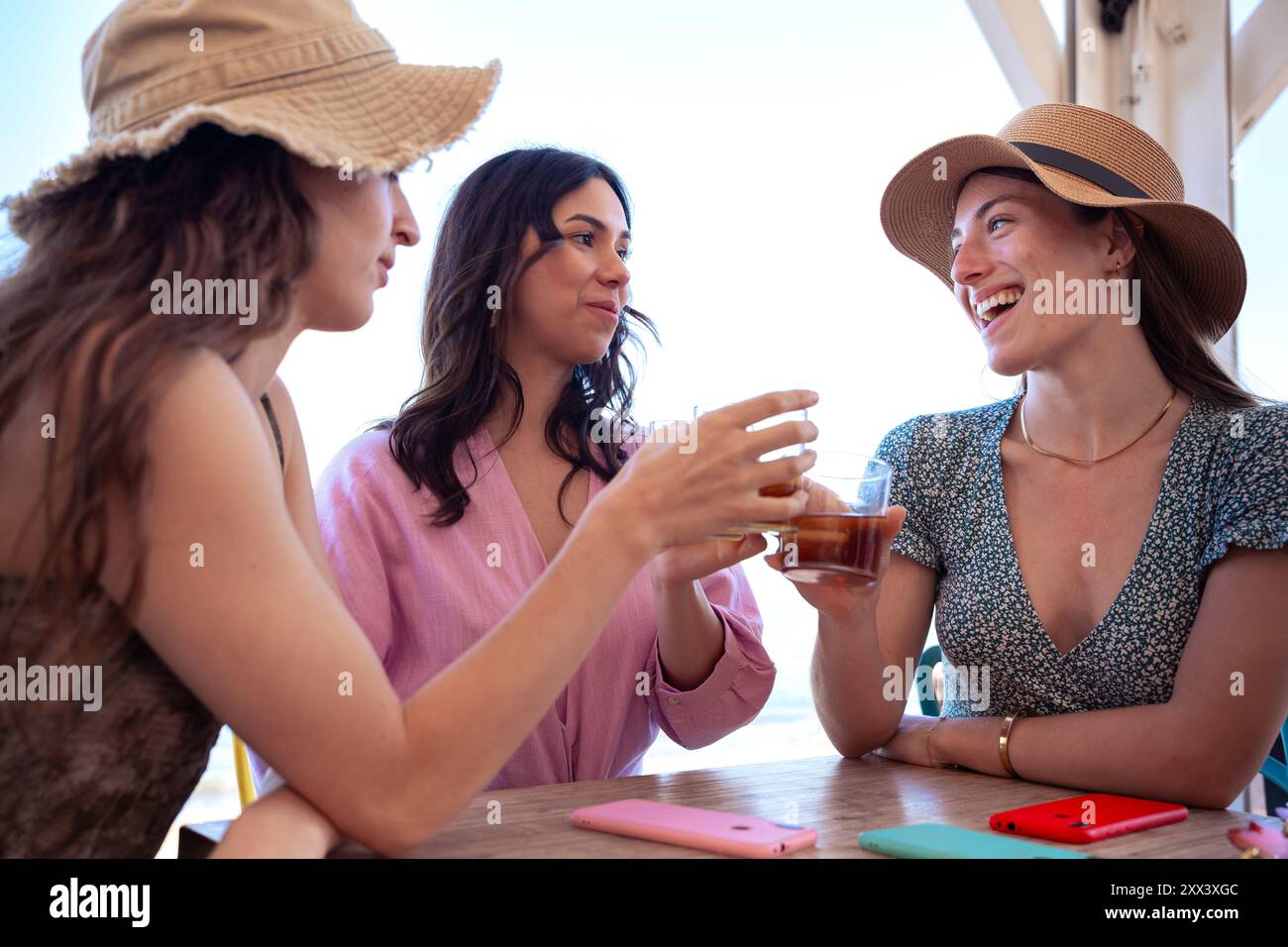 Three woman toasting ,dinner happy friends Stock Photo - Alamy