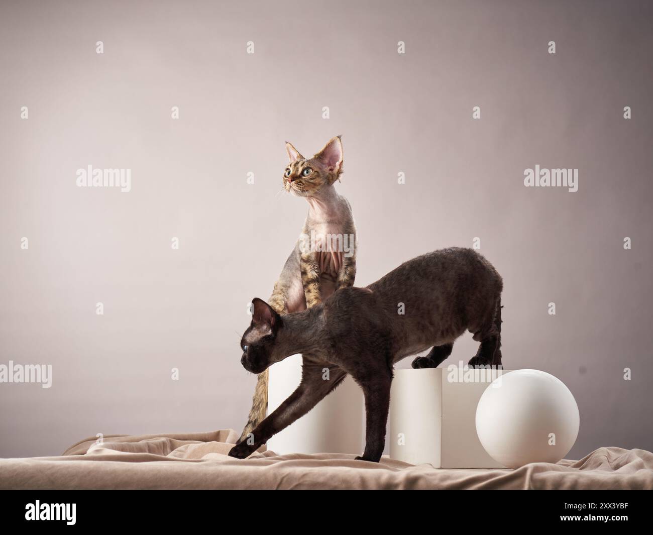 Slender pedestal hi-res stock photography and images - Alamy