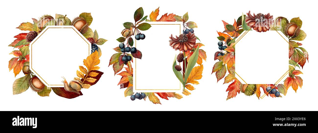 Geometric floral frames hi-res stock photography and images - Alamy