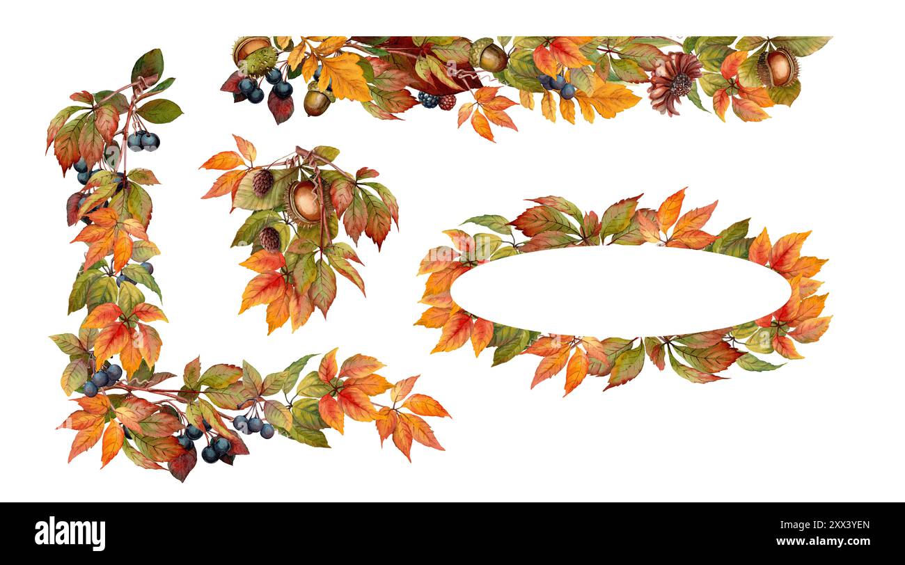 Autumn Border and frame set with colorful Virginia creeper leaves and ...