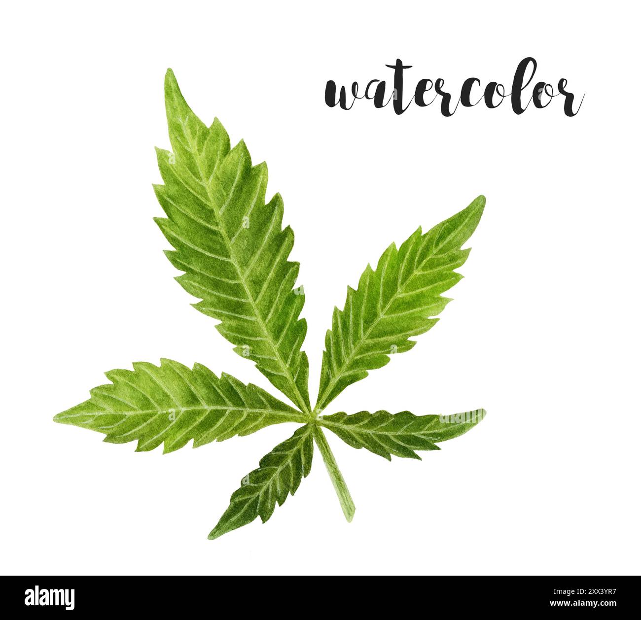 This Watercolor Cannabis Leaf Art can be used for various Creative ...