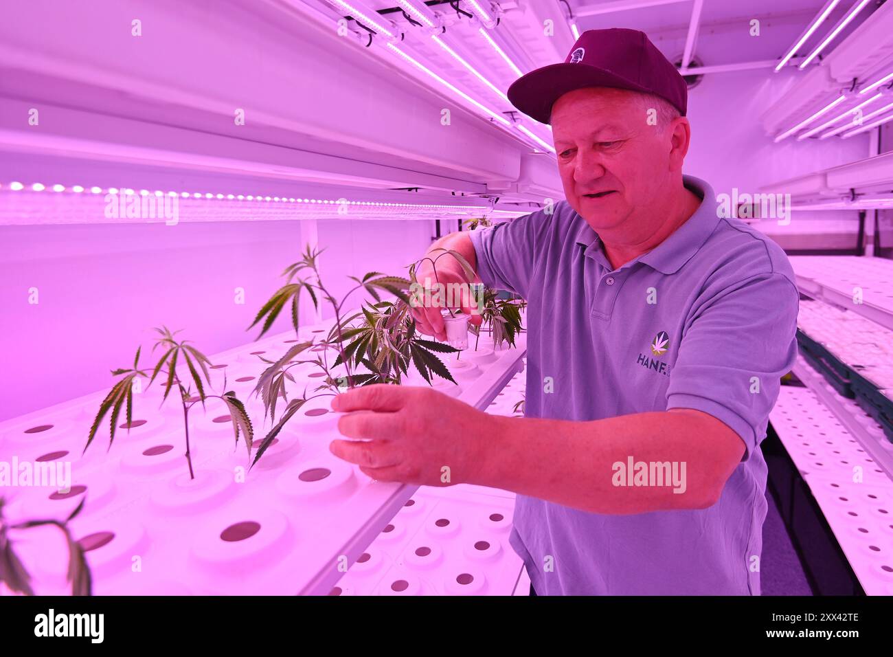 Club smoking 2024 hi-res stock photography and images - Alamy