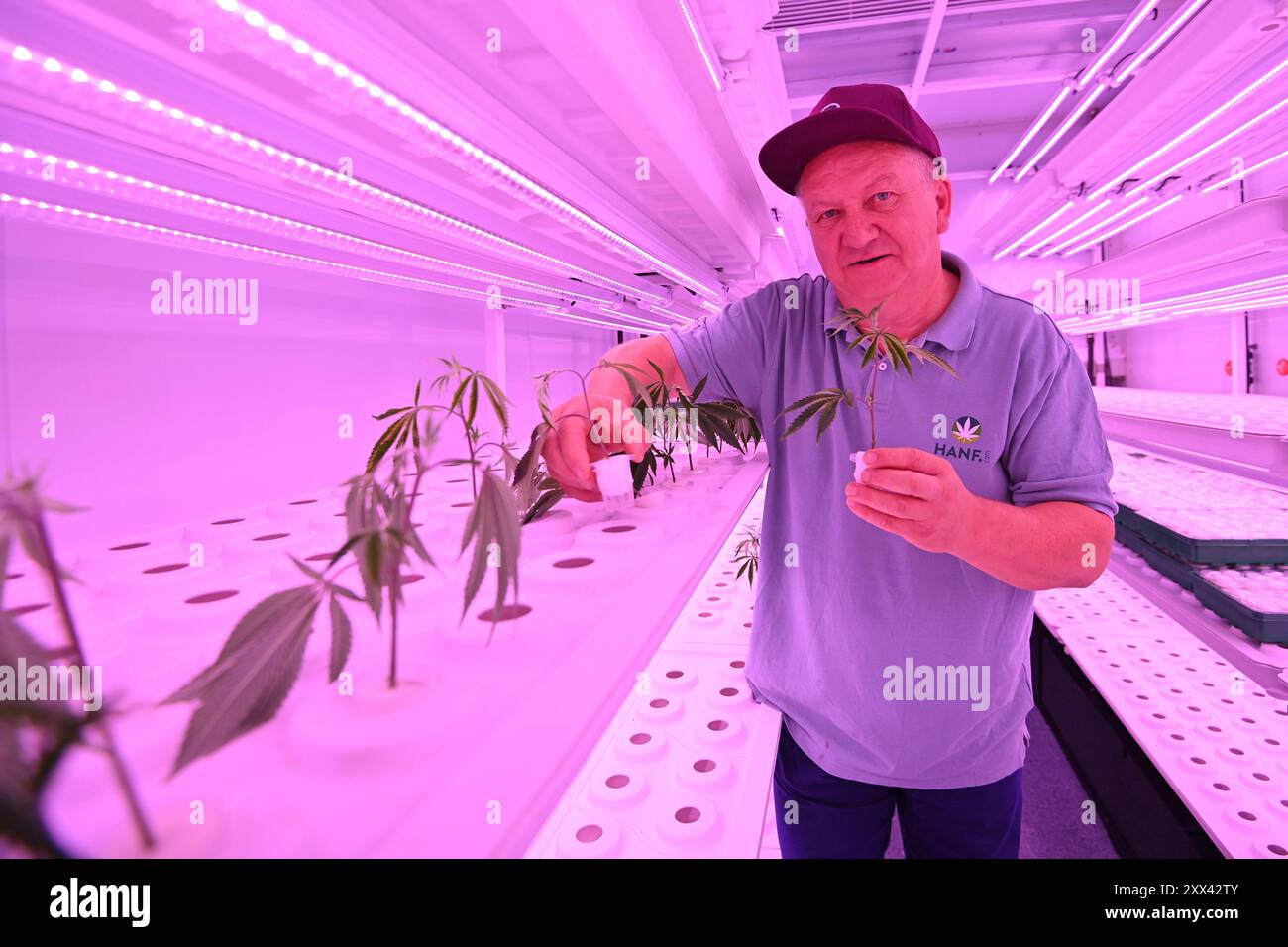 Club smoking 2024 hi-res stock photography and images - Alamy