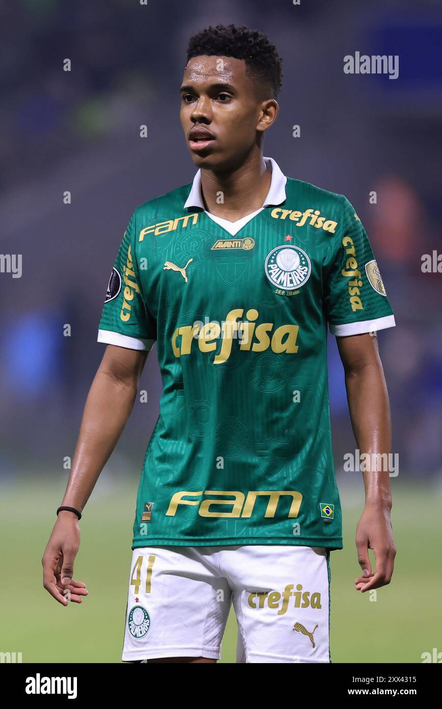 SP - SAO PAULO - 08/21/2024 - LIBERTADORES CUP 2024, PALMEIRAS x ...