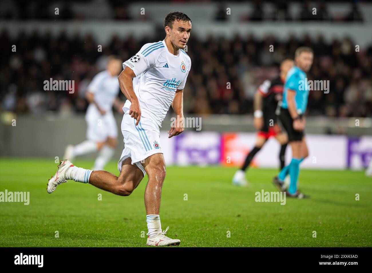 David strelec hi-res stock photography and images - Alamy