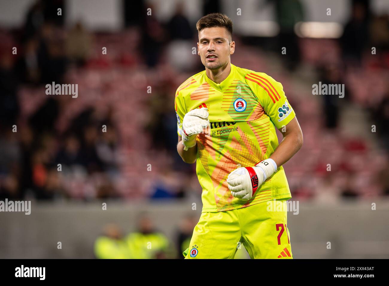 Dominik takac hi-res stock photography and images - Alamy