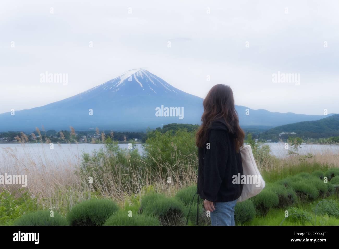 Hike fuji hi-res stock photography and images - Alamy