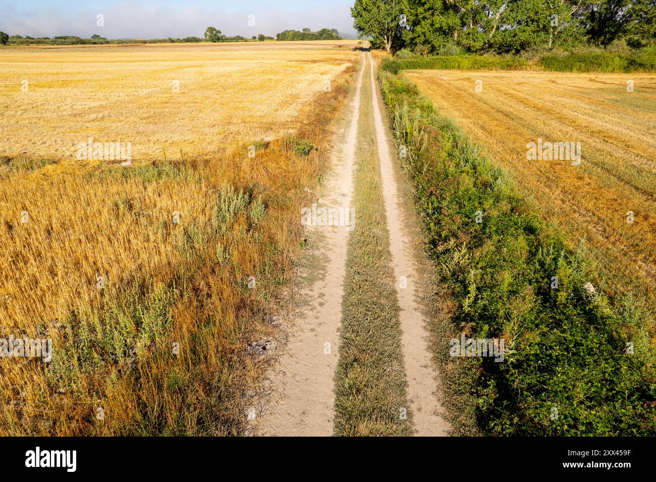 Straight dirt road hi-res stock photography and images - Alamy