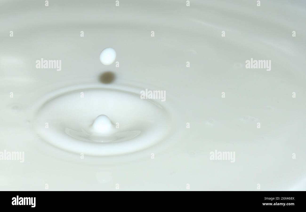 drop of white fresh milk falling to surface splashing and making wave ...