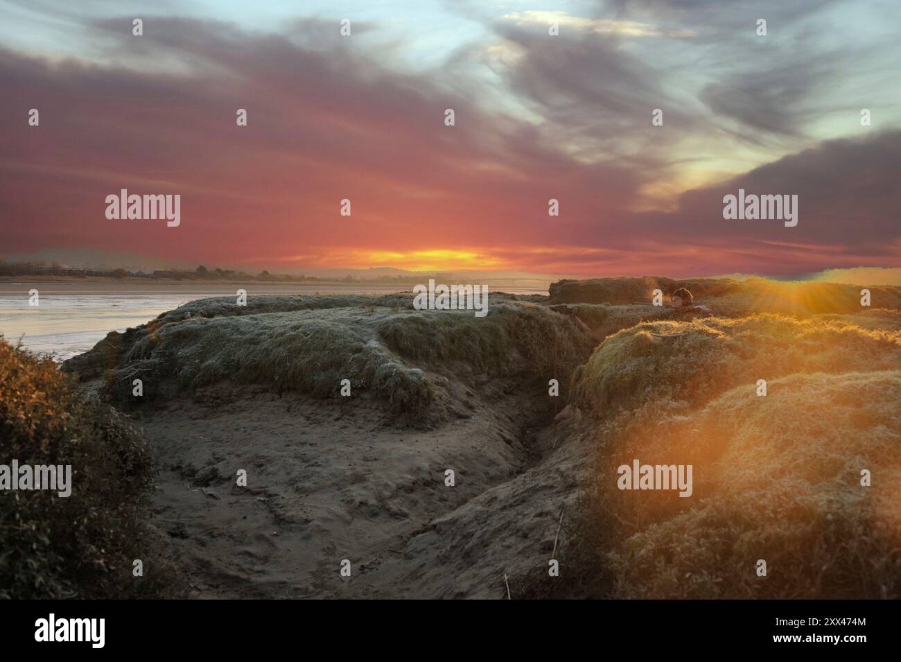 Dawn over the River Exe in Devon, England, UK Stock Photo - Alamy