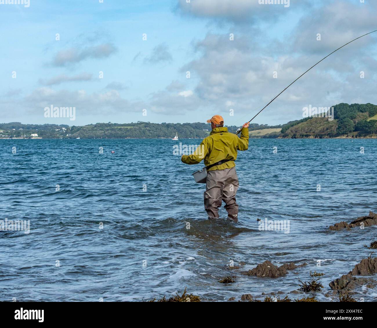 rear view of an adult man, sea fishing with a fly rod Stock Photo - Alamy