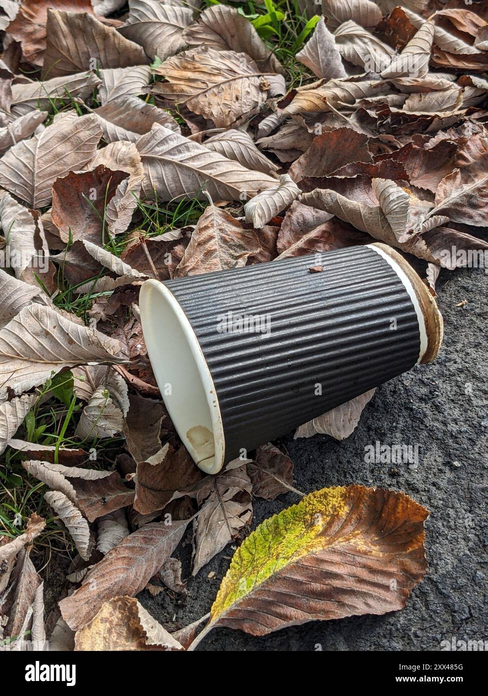 A discarded Coffee Cup and Lid with Liquid Waste Litter on Pavement ...