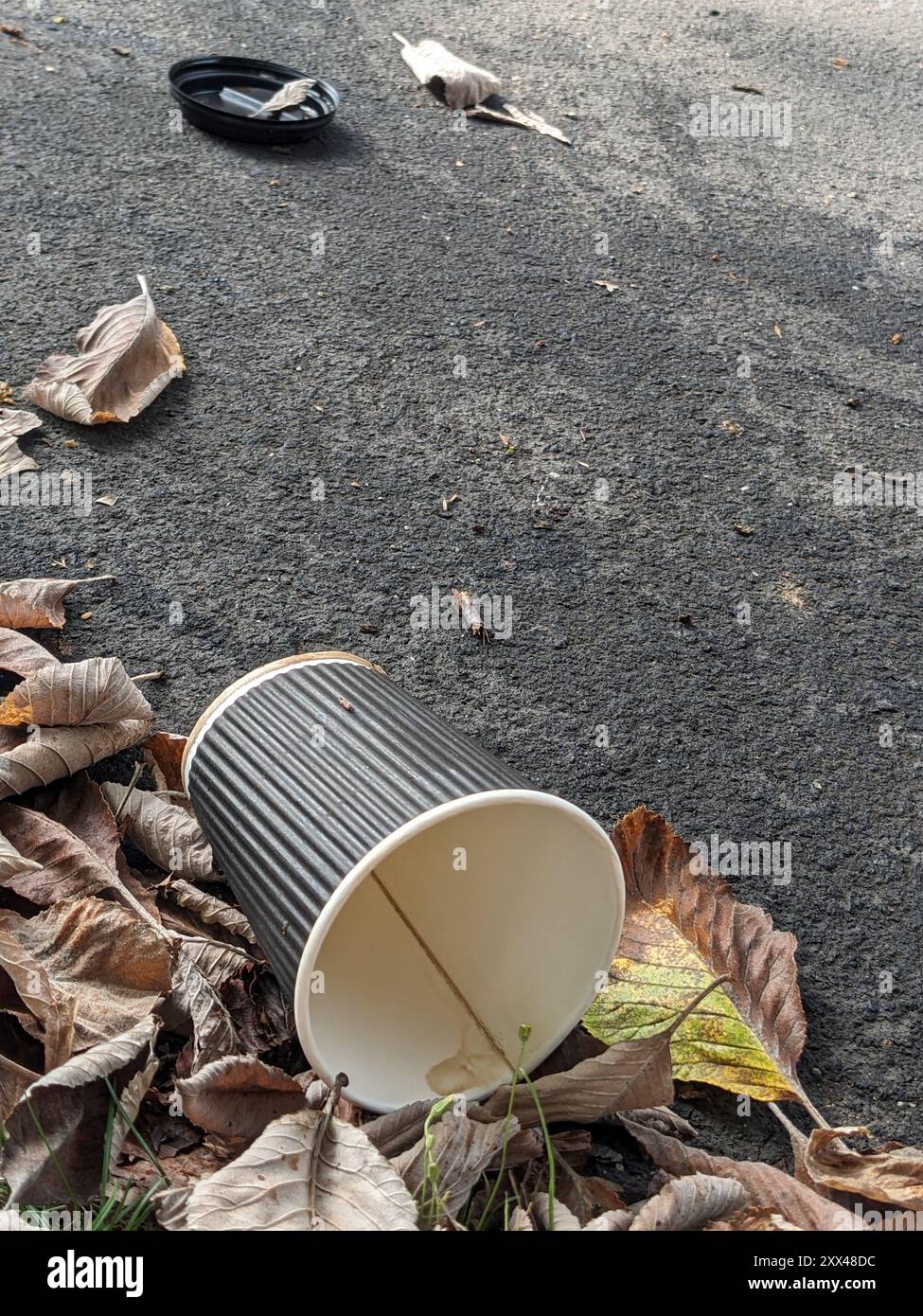A discarded Coffee Cup and Lid with Liquid Waste Litter on Pavement ...