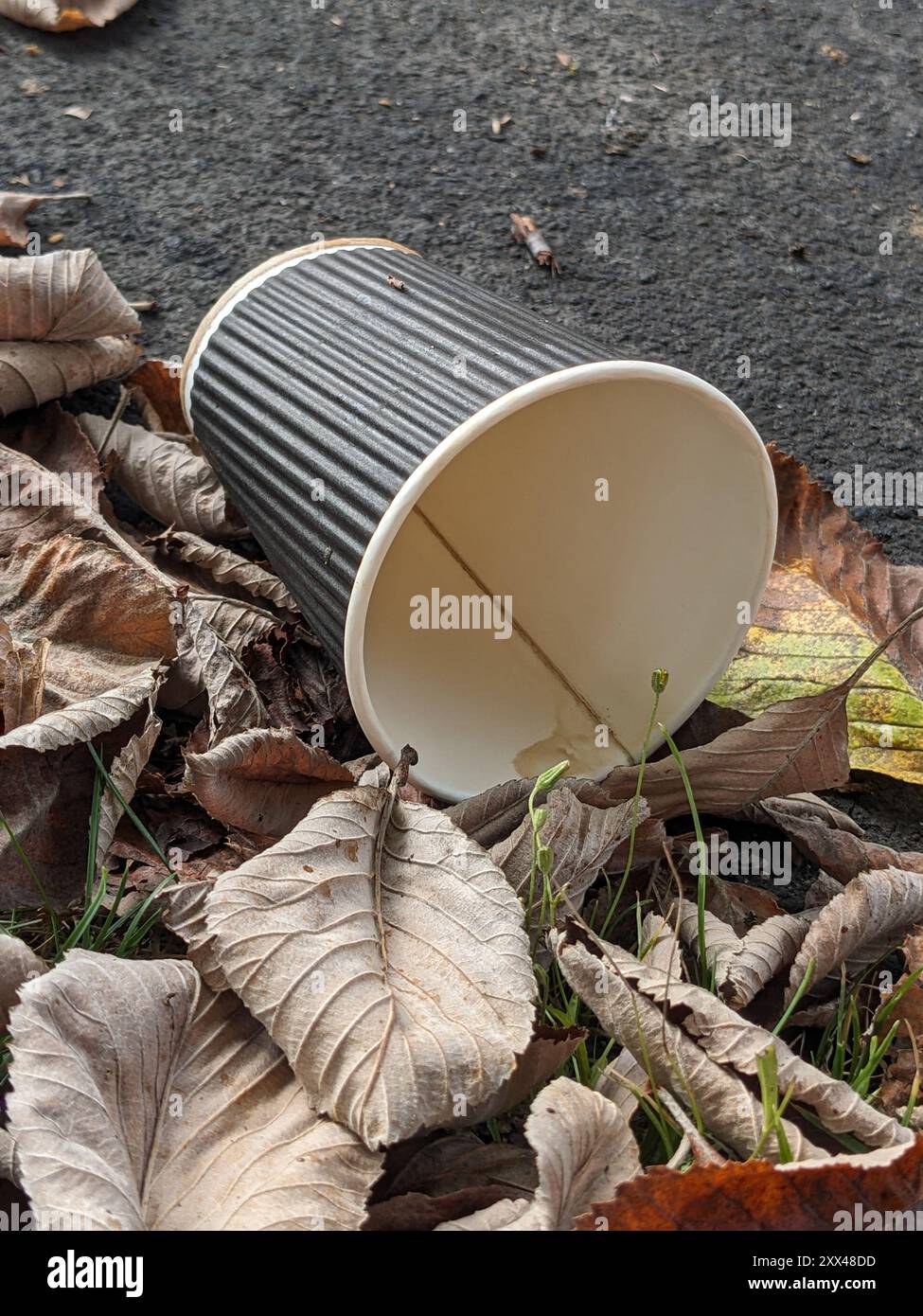 A discarded Coffee Cup and Lid with Liquid Waste Litter on Pavement ...