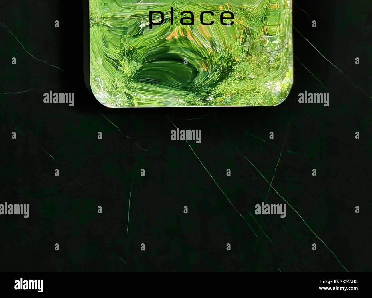 Mirror Sign with Black Letters -Place-Reflecting Green Nature: Vertigo ...