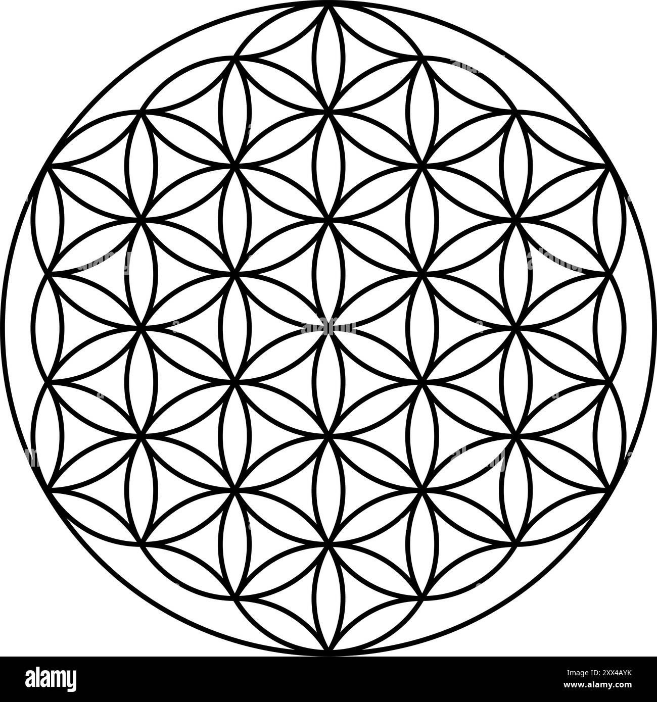 Flower of life symbol isolated on white background. Sacred geometry ...