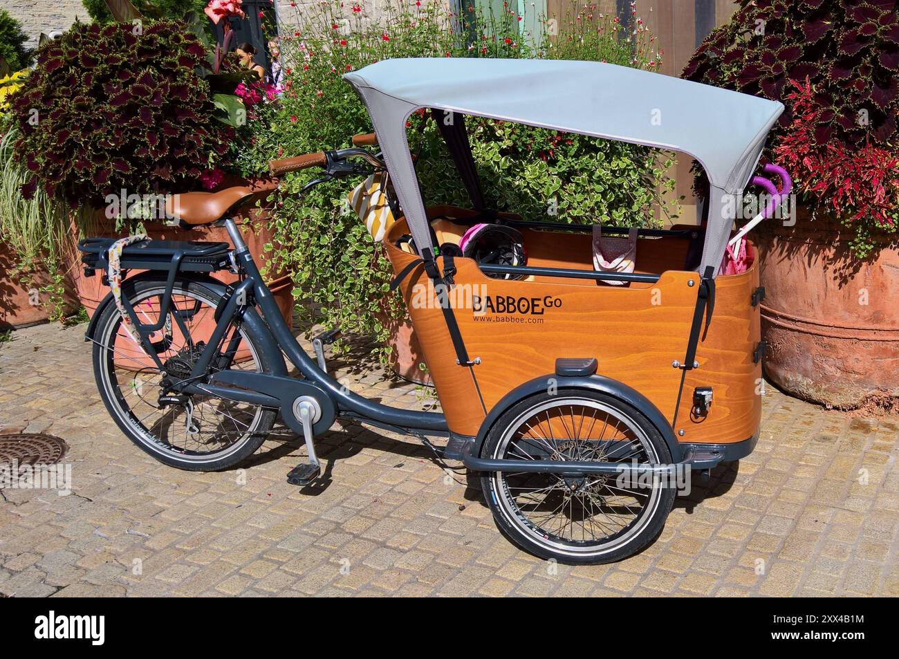 Babboe Go Lastenrad bzw Lastenfahrrad. Als Lastenrad, Transportrad ...