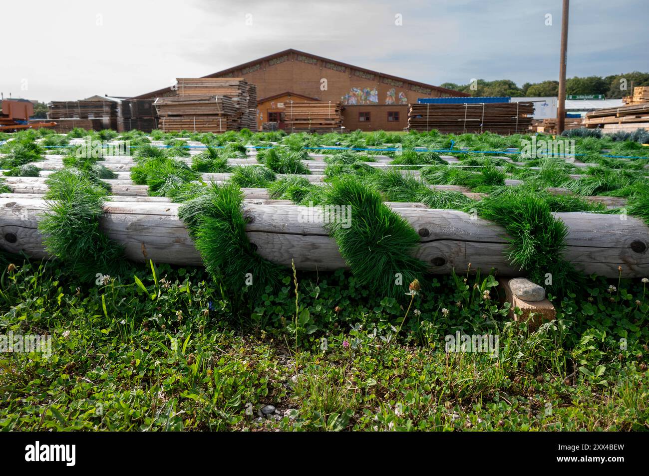 On the oidn wiesn hi-res stock photography and images - Alamy