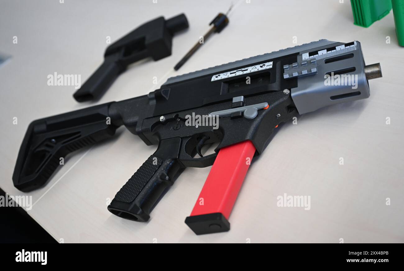 22 August 2024, Hesse, Wiesbaden: During Federal Minister of the ...