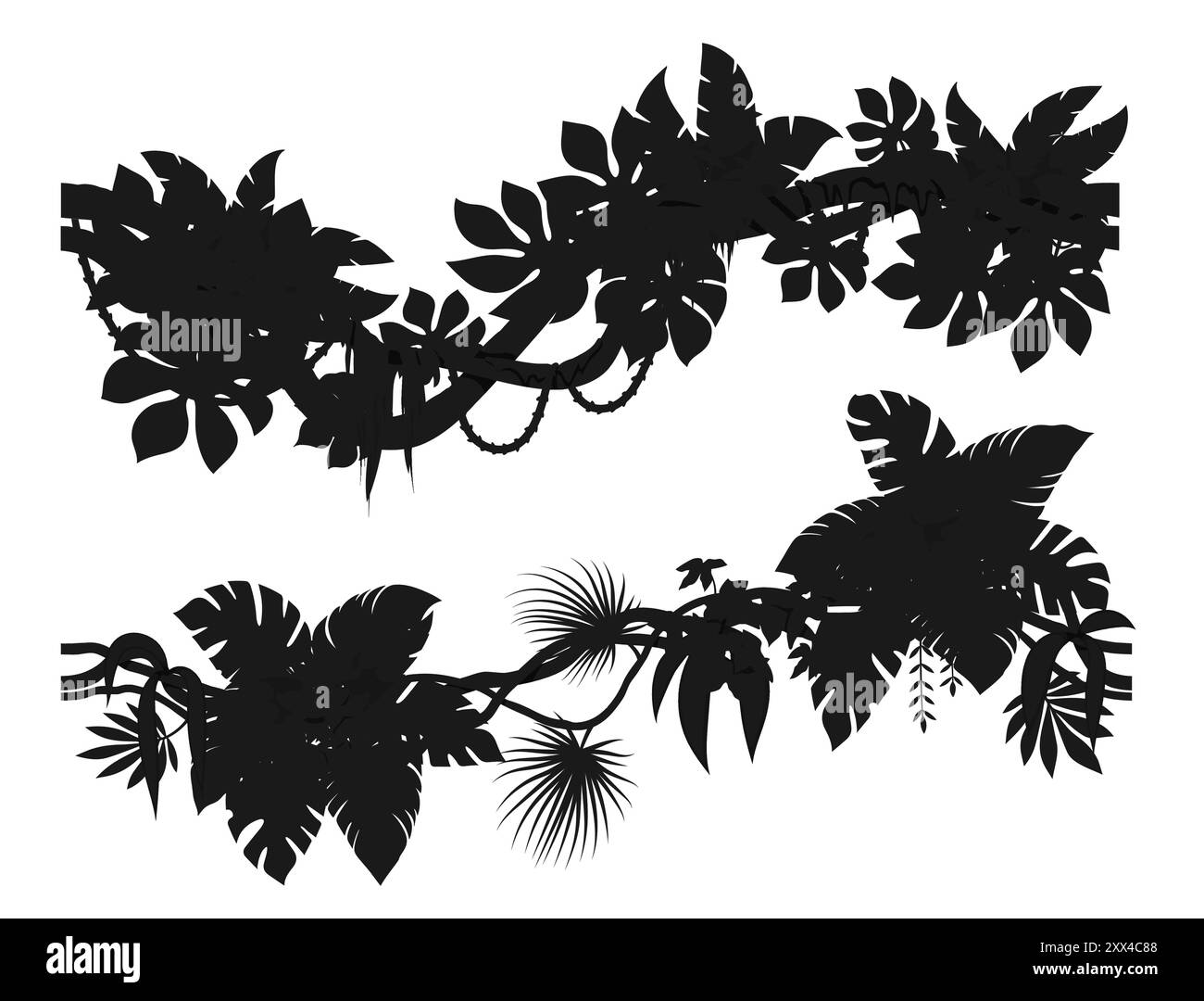 Tropical jungle forest liana branch silhouettes. Vector black ...