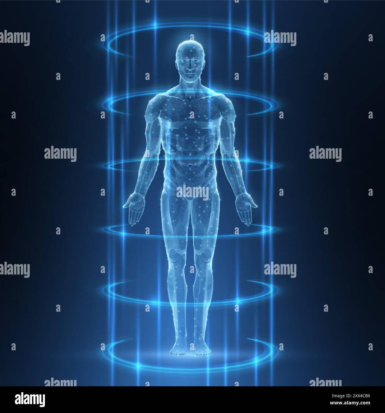 Human body. Abstract vector. Digital anatomy, Medical technology ...