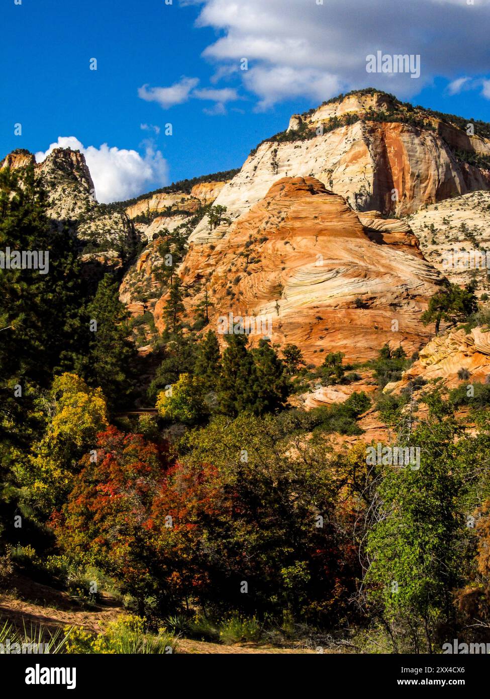 Crazy quilt mesa hi-res stock photography and images - Alamy