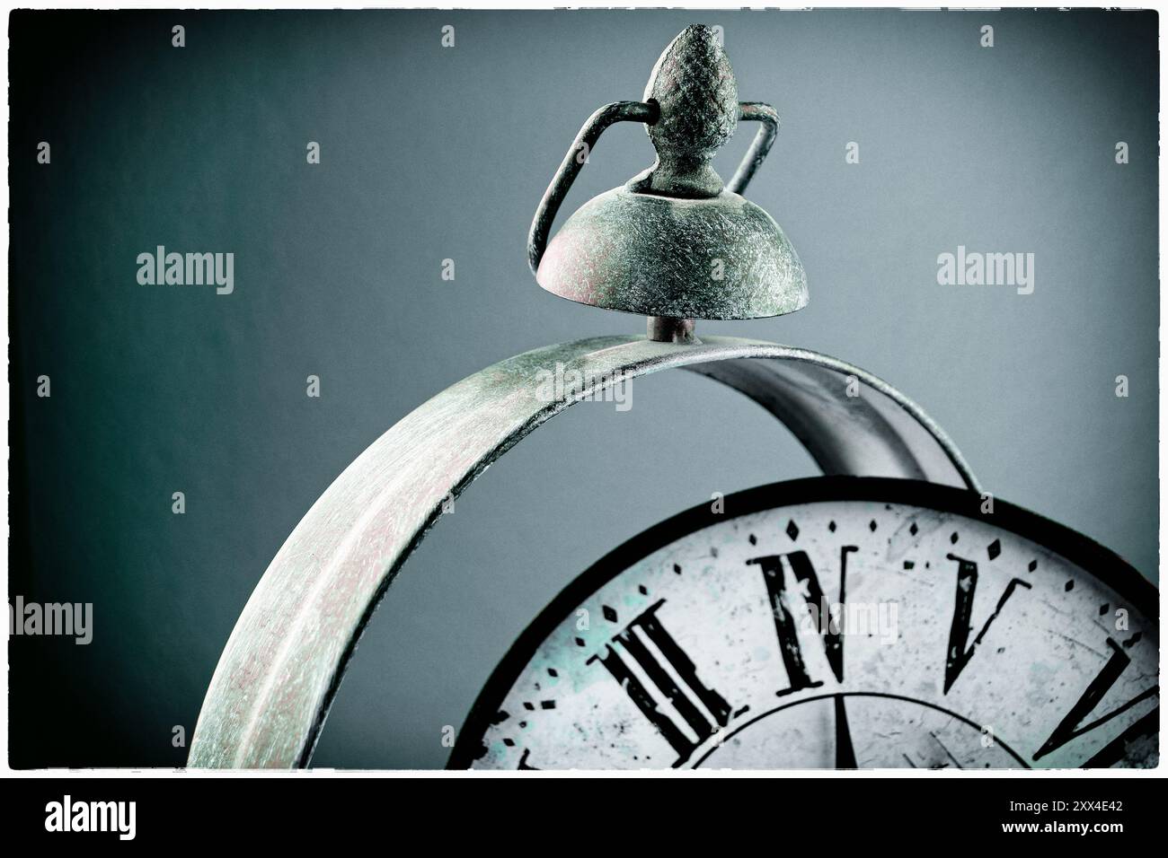 Real focus group Cut Out Stock Images & Pictures - Alamy