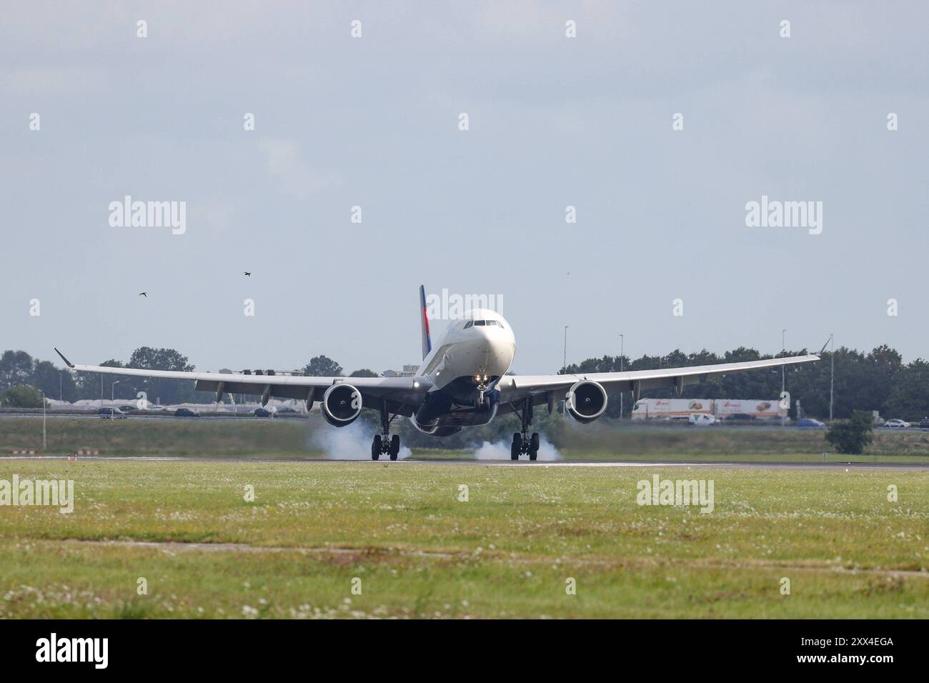 Ein Flugzeug der Fluggesellschaft Delta Air Lines, Airbus A330-323 ...