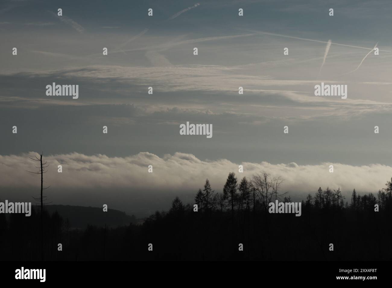 Wanderung im taunus hi-res stock photography and images - Alamy