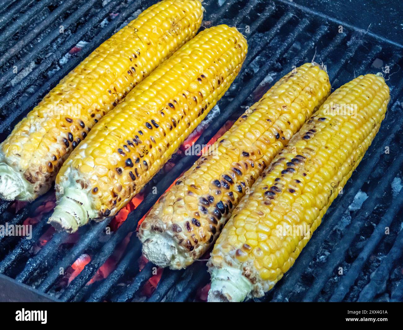 sweet corn on charcoal grill Stock Photo - Alamy